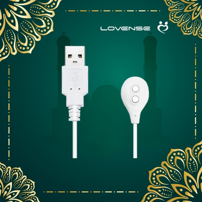New Charging Cable for Lovense Toys | Sex Shop in Abu Dhabi